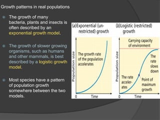Ecology how population grow | PPTX