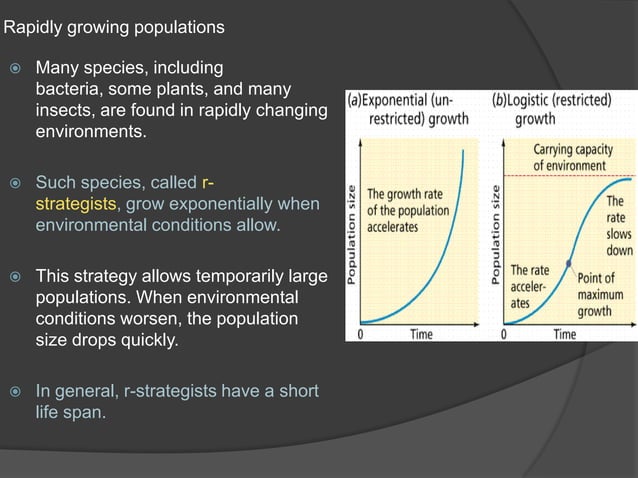 Ecology how population grow | PPTX
