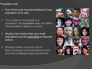 Ecology how population grow | PPTX