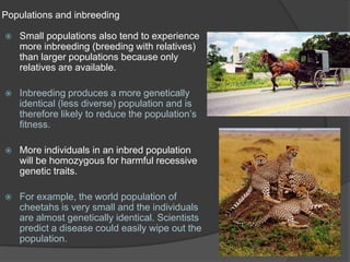 Ecology how population grow | PPTX