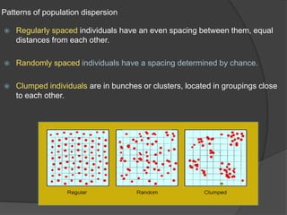 Ecology how population grow | PPTX