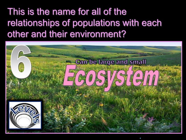 Ecology PowerPoint Review Game Quiz, Ecosystems, Predator, Prey ...