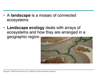 Honors -Ecology introduction 1011 | PPT