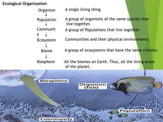 Ecology lecture 3-5 (2-2-2023), (8-2-2023).pptx