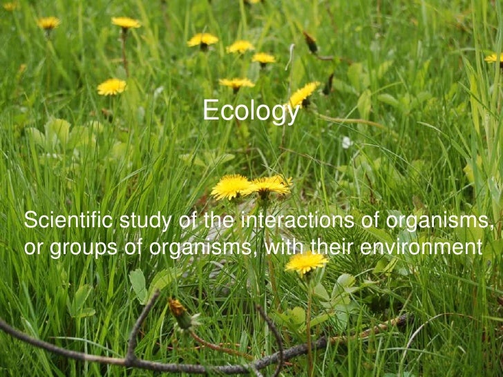 Ecology Lecture For Webtools
