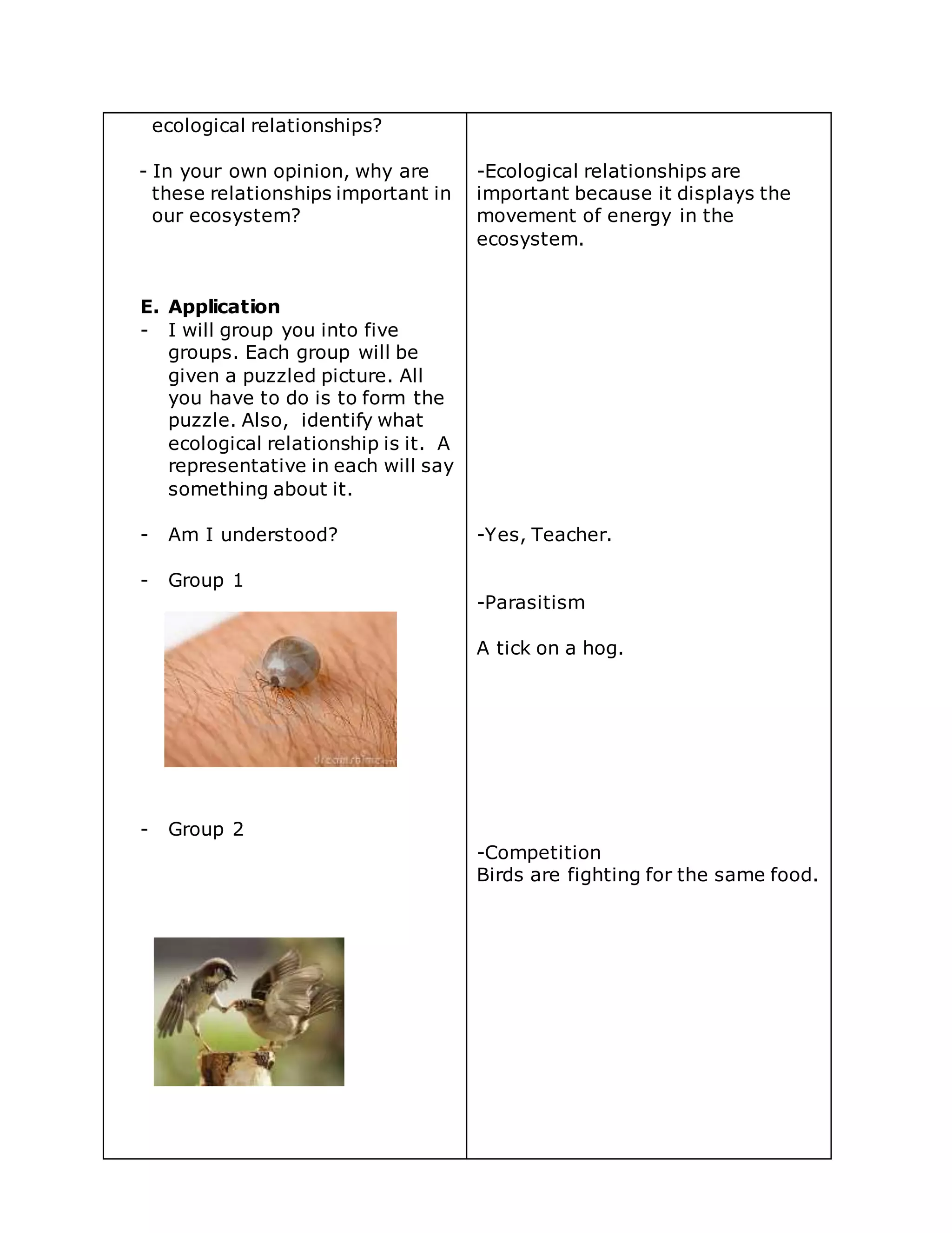 Ecology Lesson Plan | DOCX