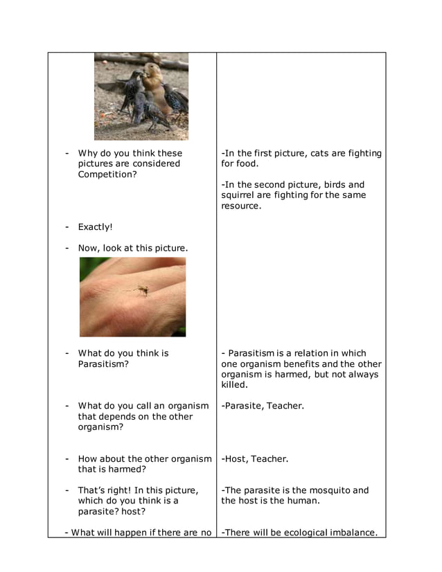 Ecology Lesson Plan | DOCX