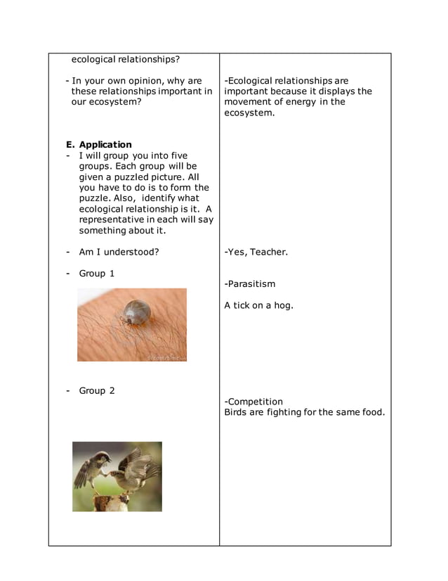 Ecology Lesson Plan | DOCX