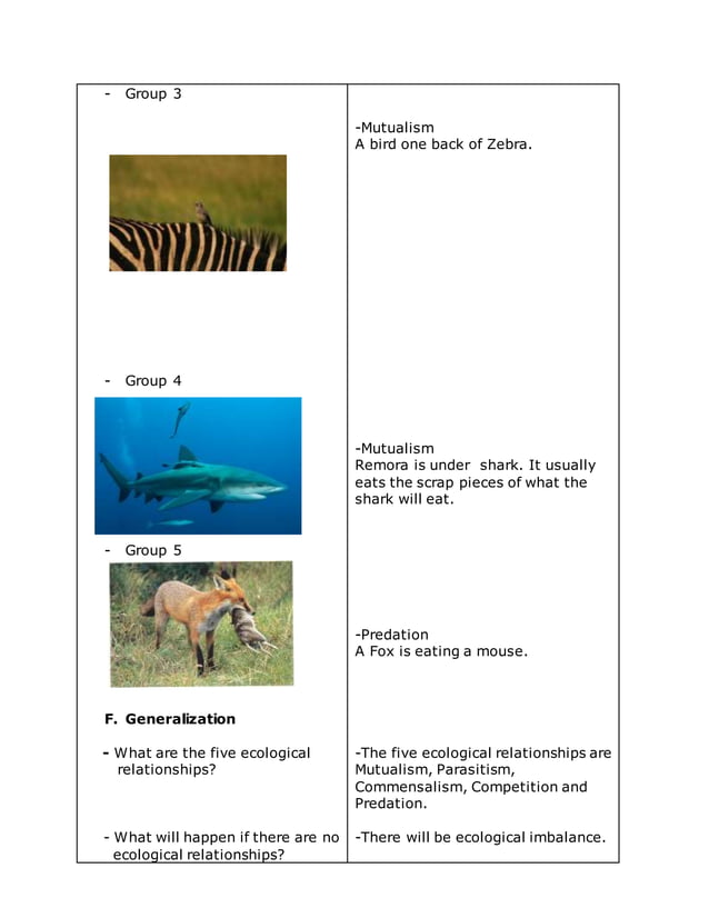 Ecology Lesson Plan | DOCX
