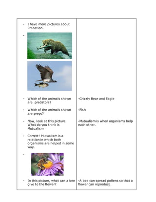 Ecology Lesson Plan | DOCX