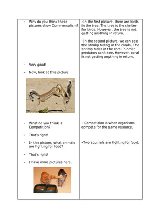 Ecology Lesson Plan | DOCX