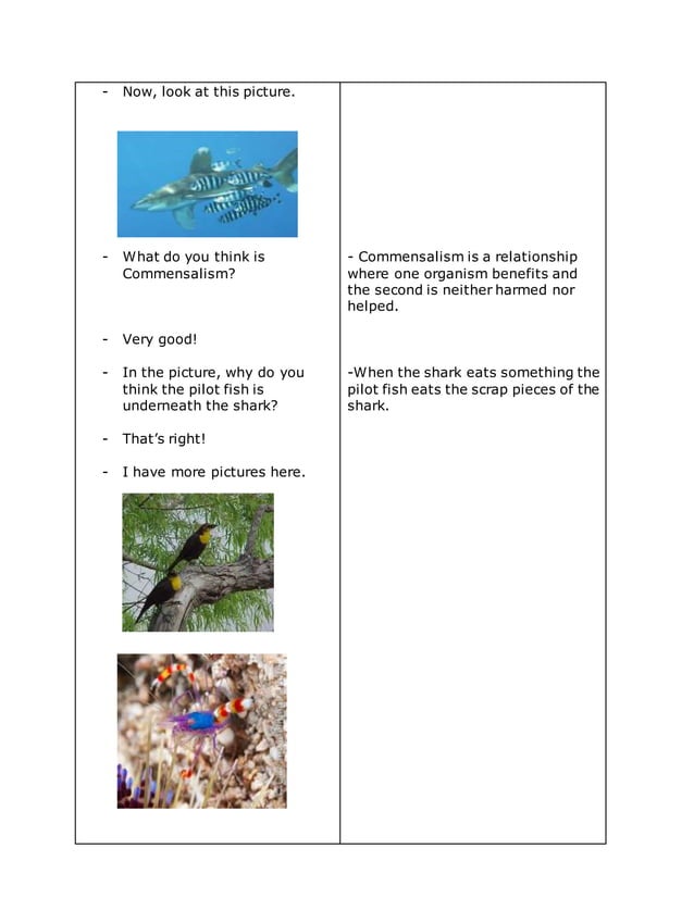 Ecology Lesson Plan | PDF
