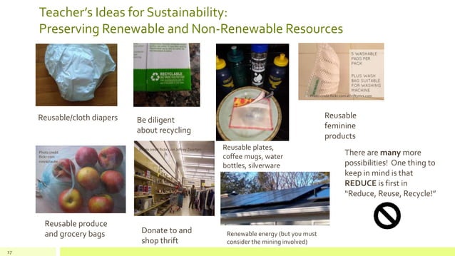 Ecology lesson plan | PPT