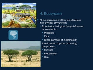 Ecology Levels of Organization | PPTX