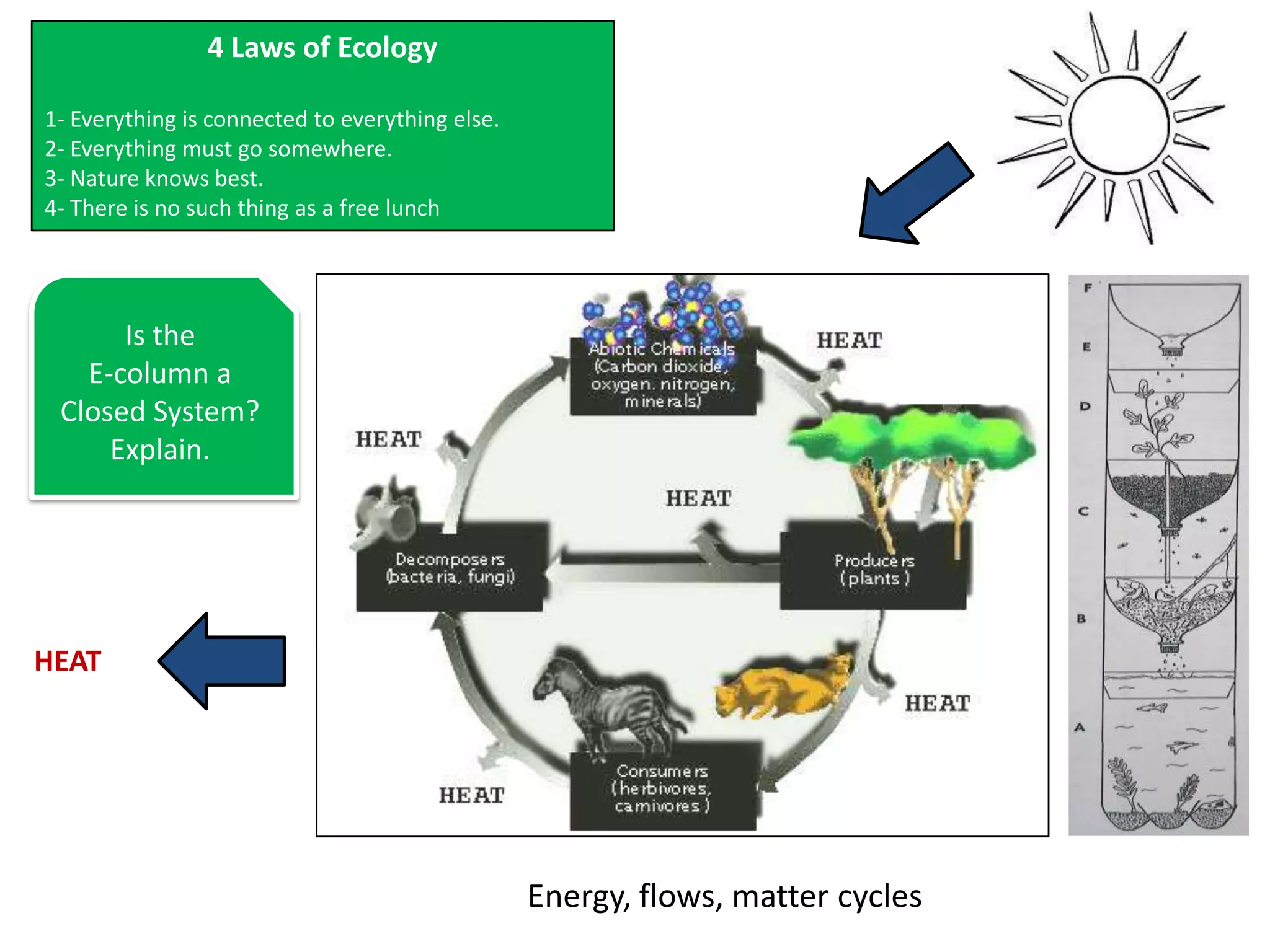 Ecology notes 1 ecosystem | PPTX
