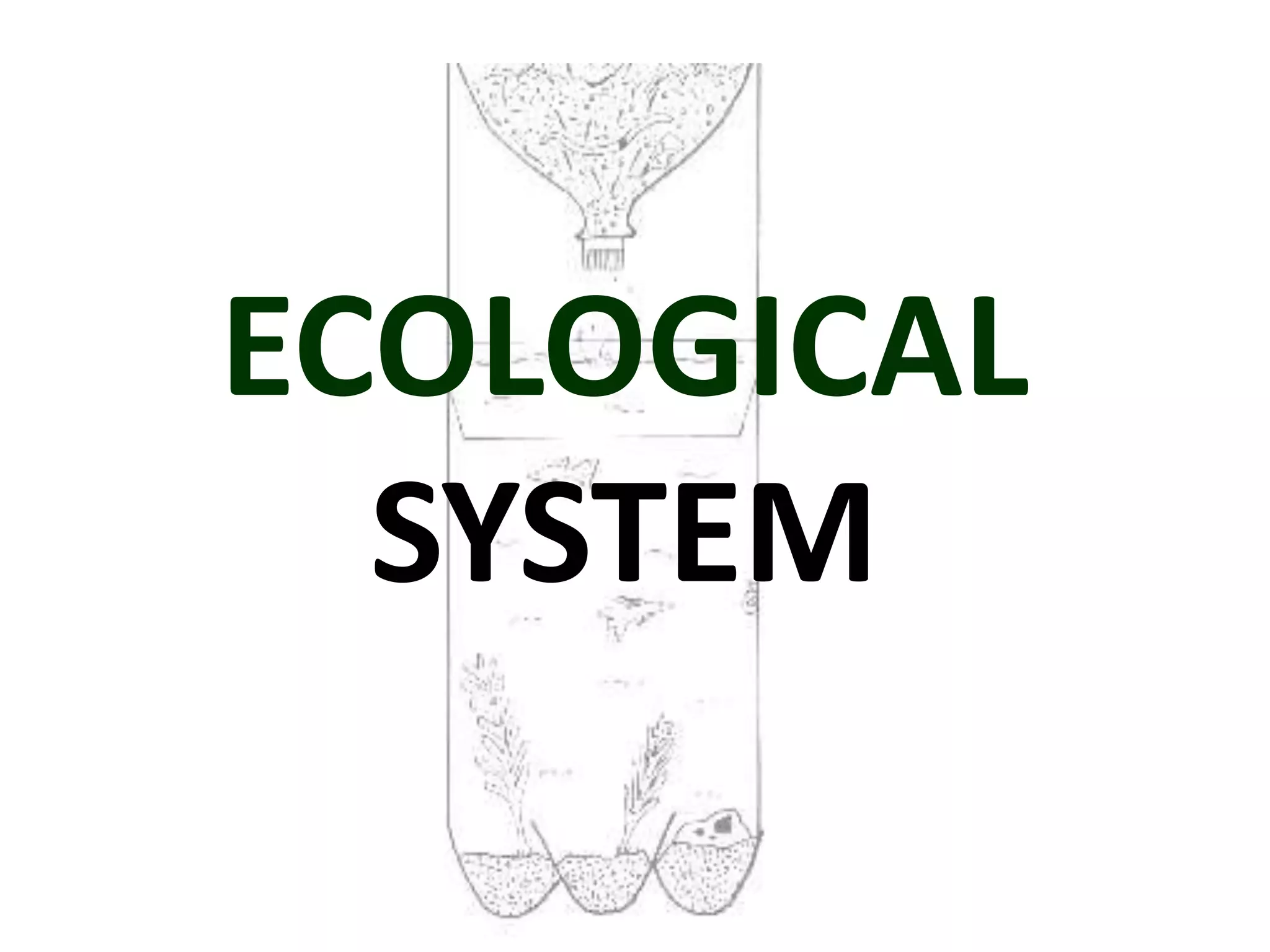 Ecology notes 1 ecosystem | PPT