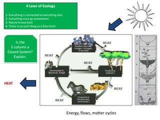 Ecology notes 1 ecosystem | PPTX