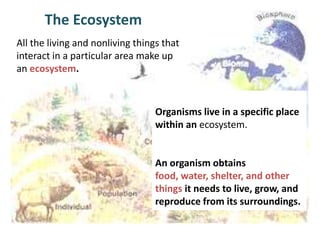 Ecology notes 1 ecosystem | PPTX