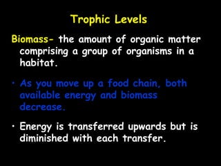 Ecology notes ppt | PPT
