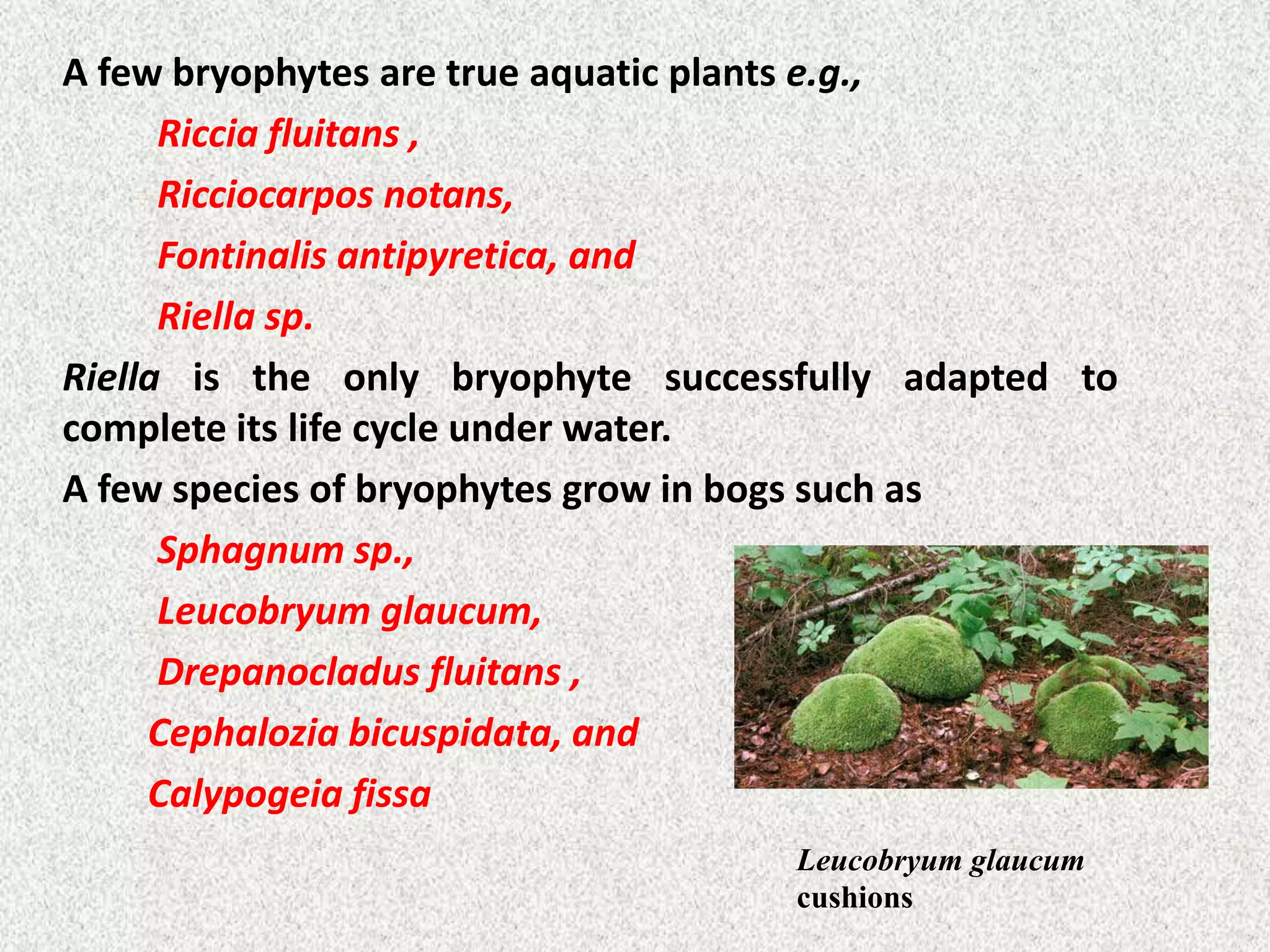 Ecology of bryophytes- Swapnil.pptx