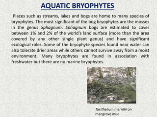 Ecology of bryophytes- Swapnil.pptx