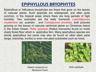 Ecology of bryophytes- Swapnil.pptx