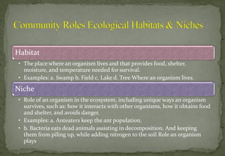 Ecology of community | PDF