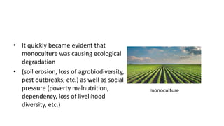Ecology of food production | PPTX