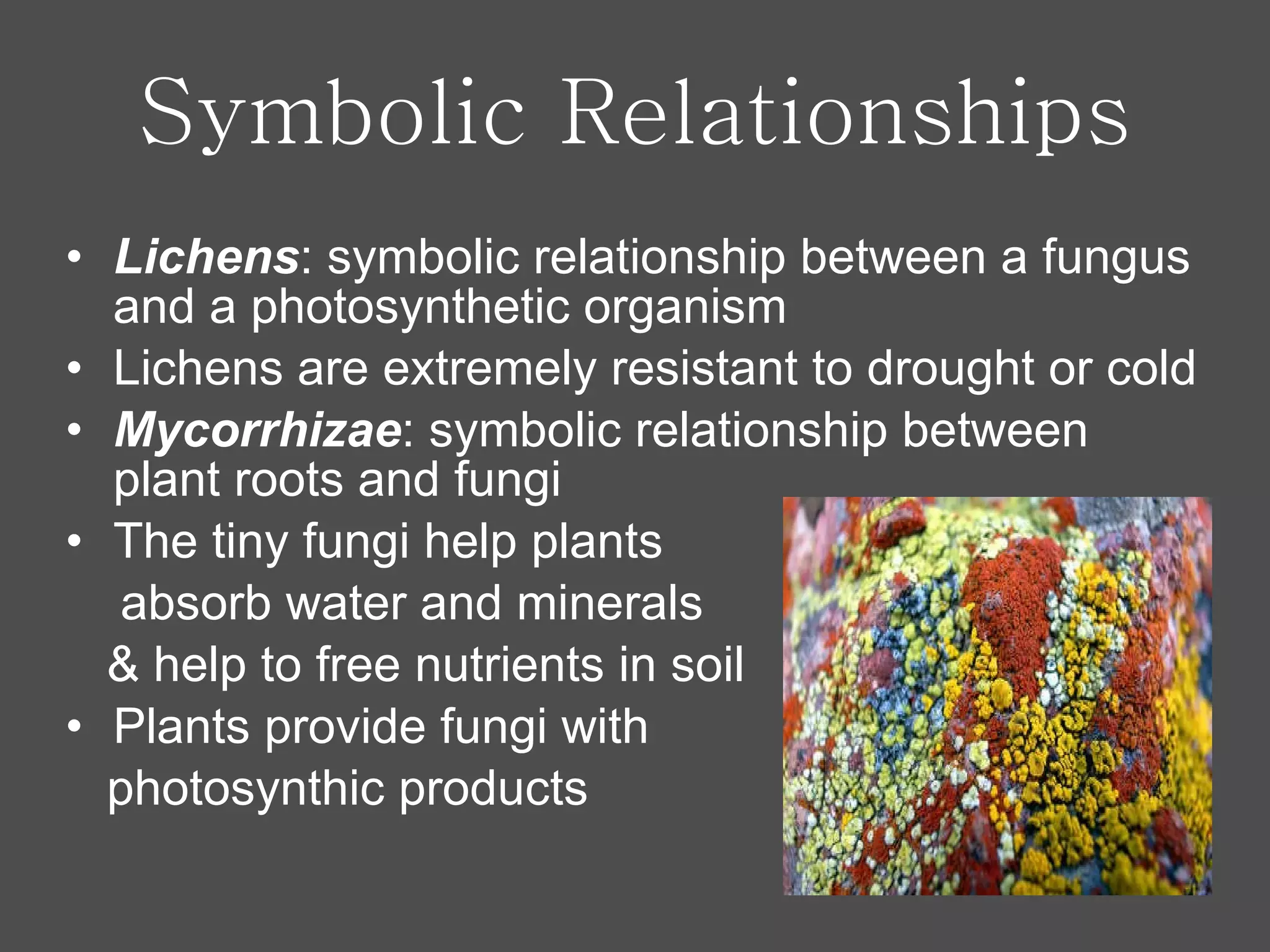 Ecology Of Fungi | PPT