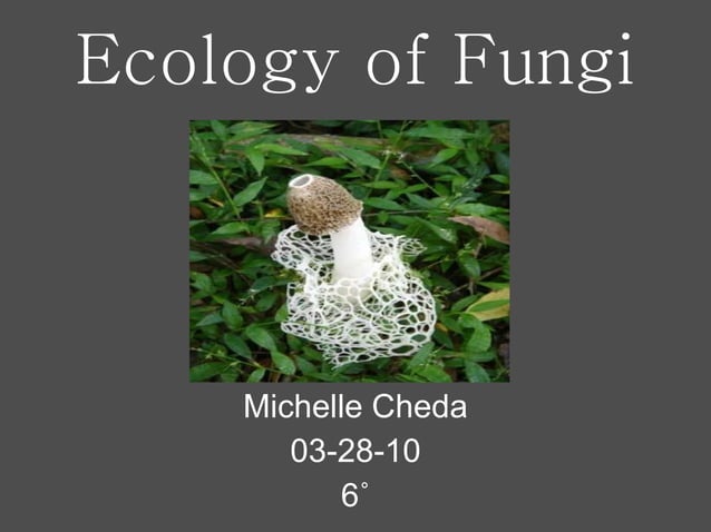 Ecology Of Fungi | PPT