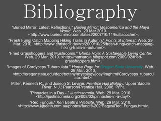 Ecology Of Fungi | PPT
