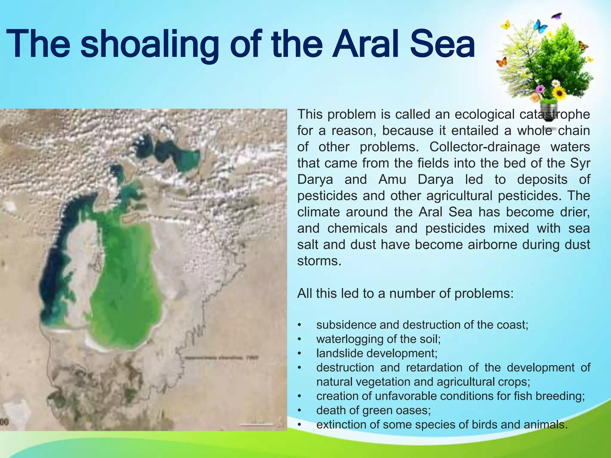 Ecology of Kazakhstan.pptx