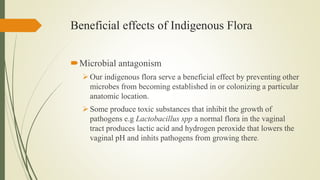 ECOLOGY OF MICROBES IN NATURAL HABITAT.pptx