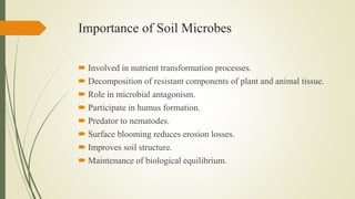 ECOLOGY OF MICROBES IN NATURAL HABITAT.pptx