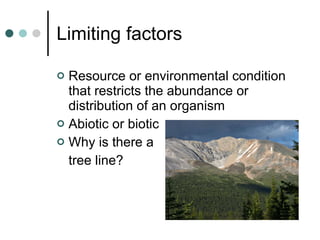 Ecology of populations | PPT