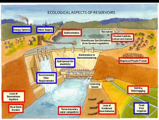 Ecology of reservoirs in india
