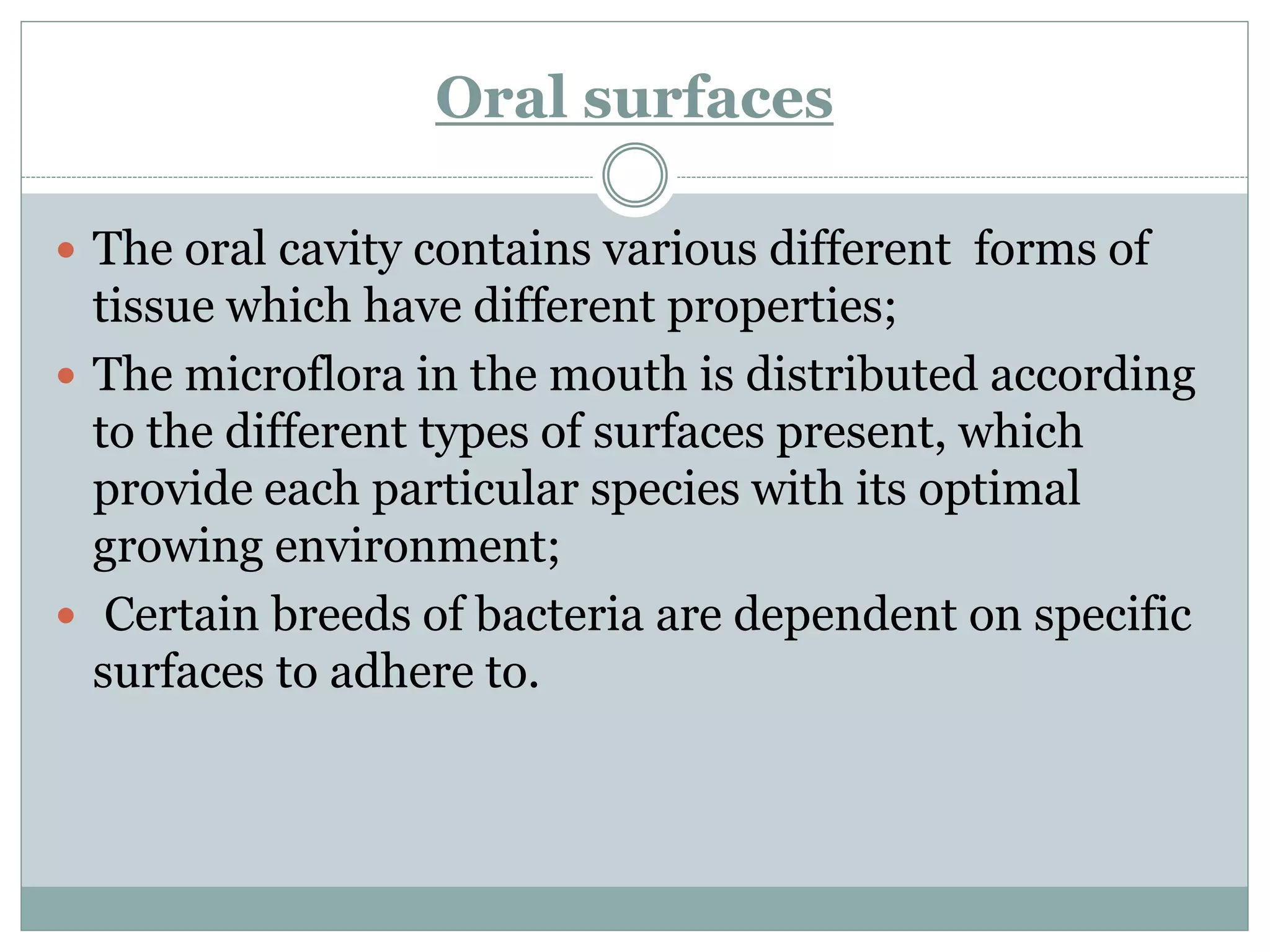 Ecology of the oral cavity.pptx
