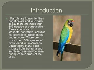 Ecology of tropical parrots | PPTX