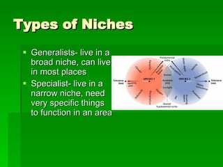 Ecology Population | PPT