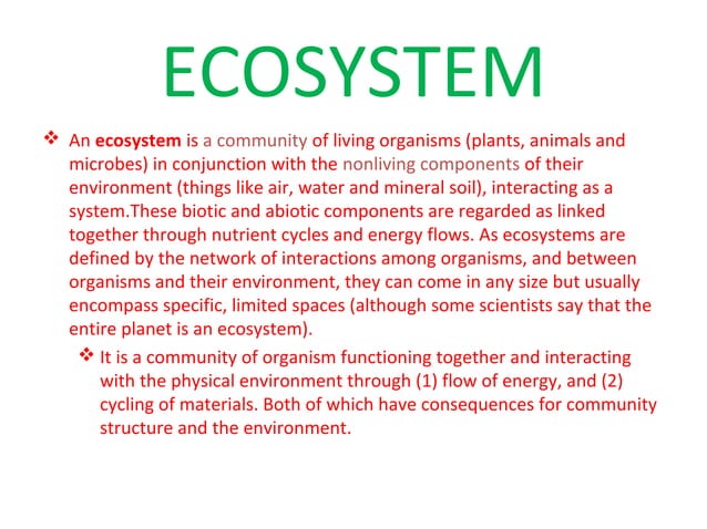 Ecology powerpoint | PPT