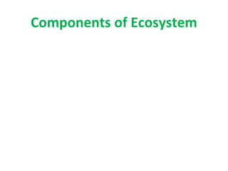 Ecology powerpoint | PPT