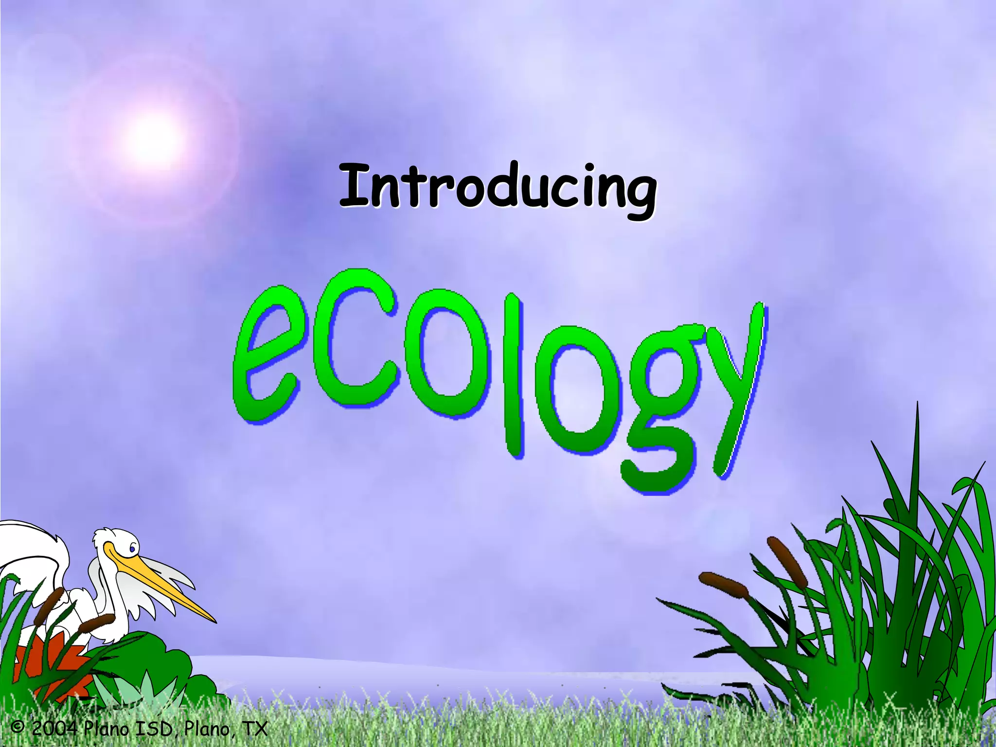 Ecology PowerPoint.ppt