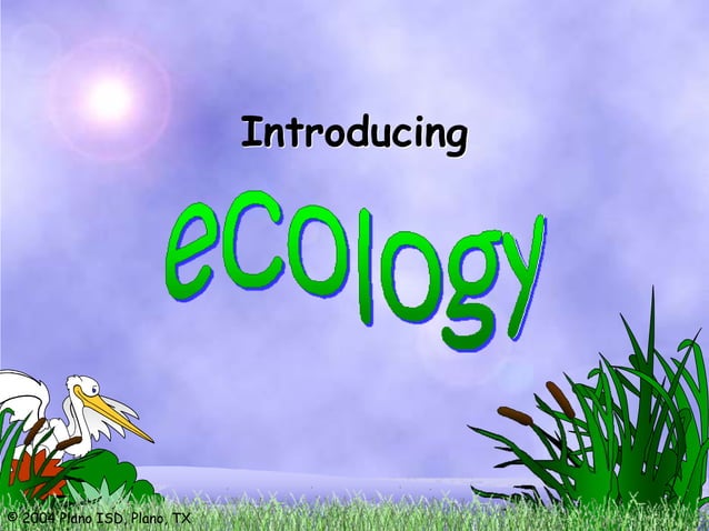 Ecology PowerPoint.ppt | Free Download