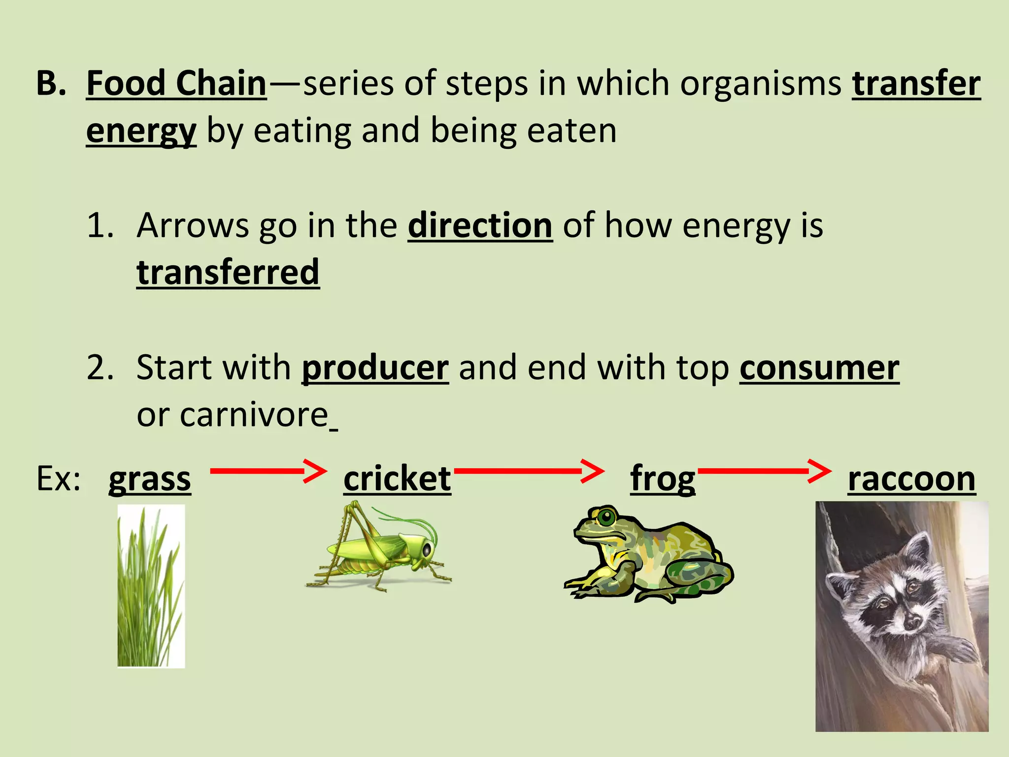Ecology ppt | PPT