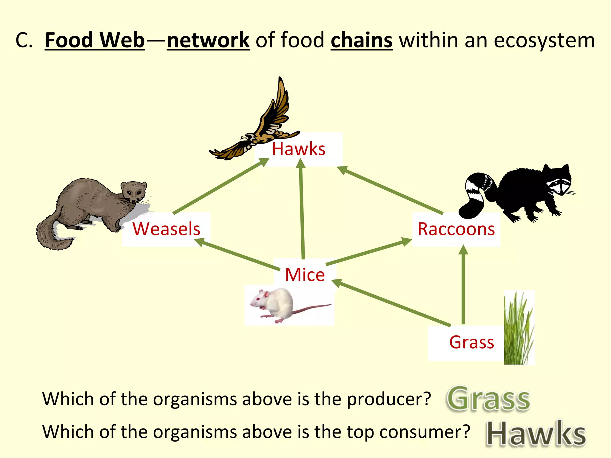 Ecology ppt | PPT