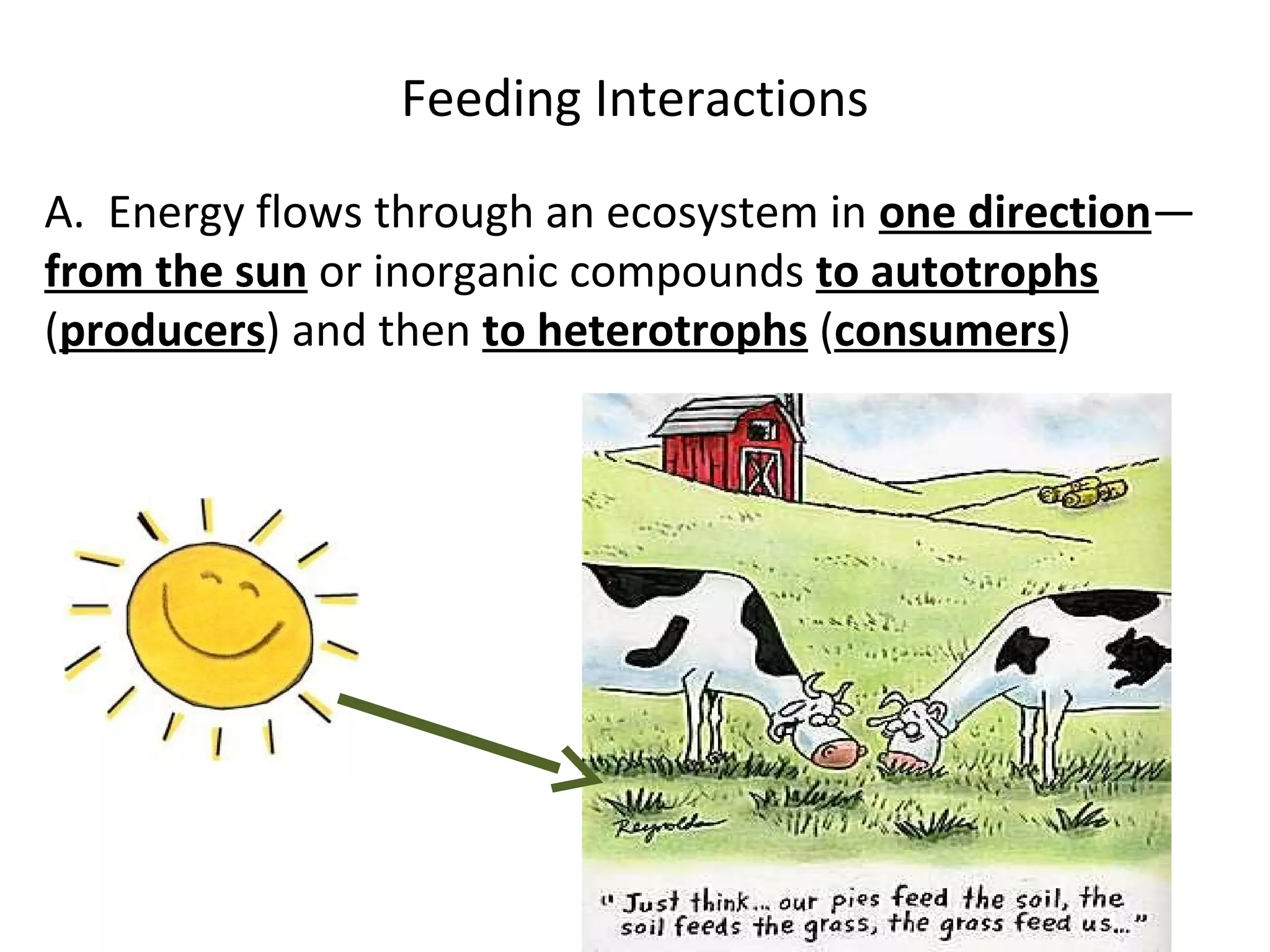 Ecology ppt | PPT