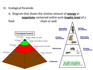 Ecology ppt | PPT