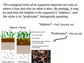 Ecology ppt | PPT