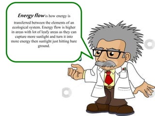 concepts of Ecosystem(Energy flow) | PPT