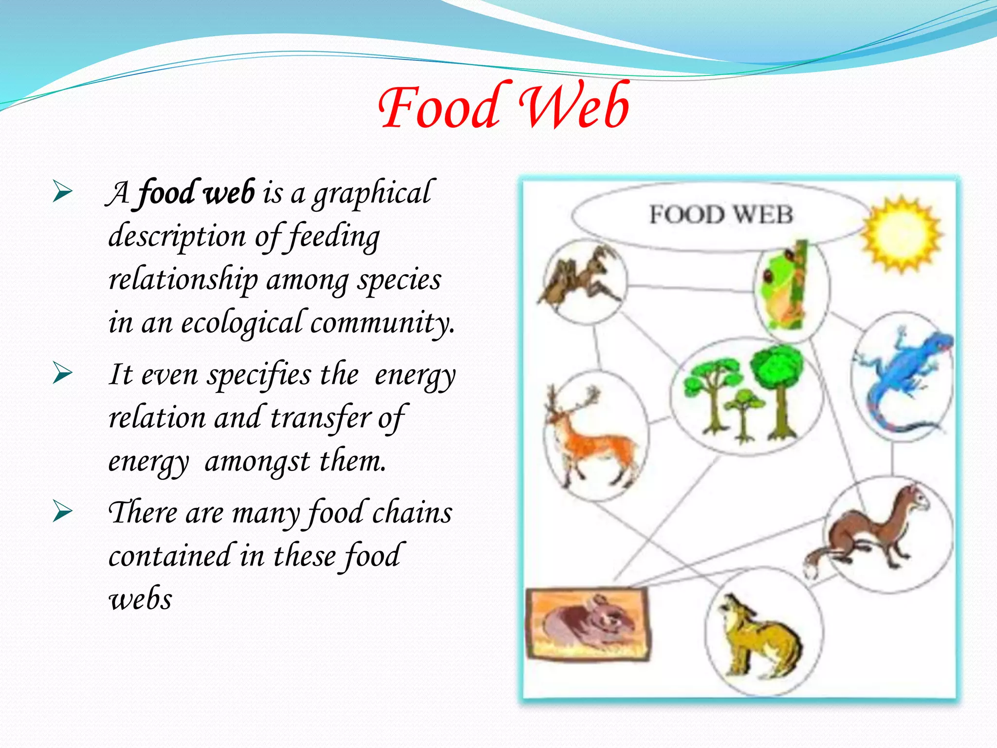 Ecology & environment | PPTX